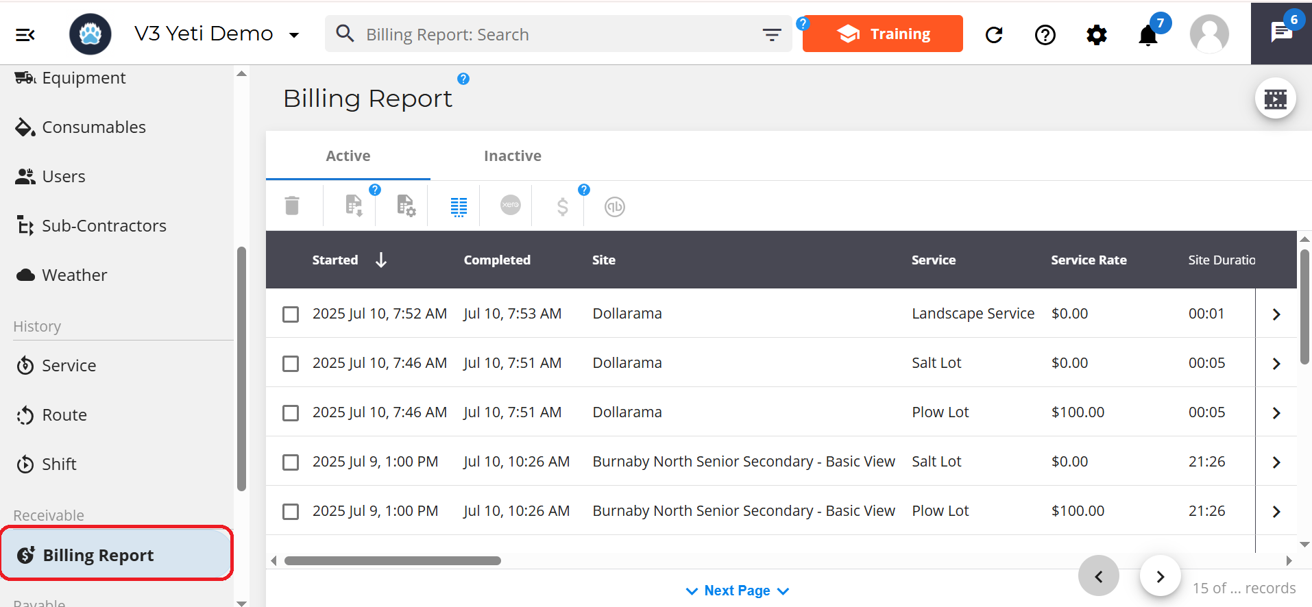 Billing Report Guide