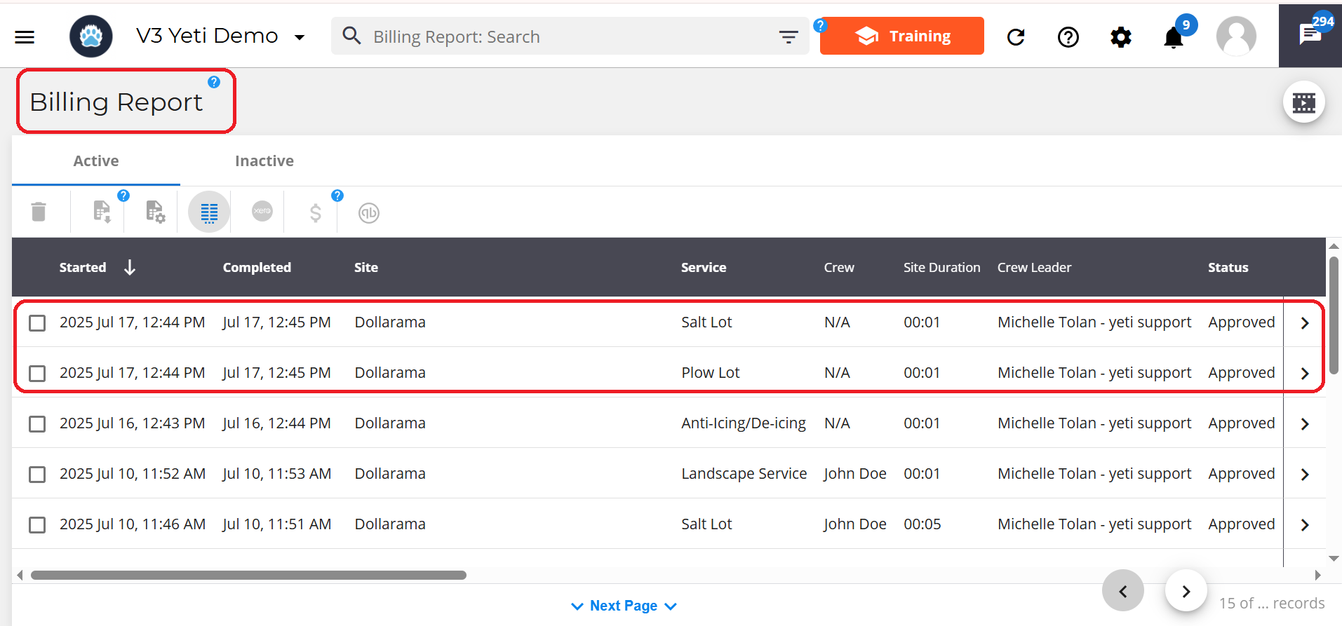 Billing Report Guide